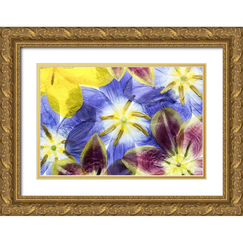 Disher, Mandy 32x23 Gold Ornate Wood Framed with Double Matting Museum ...