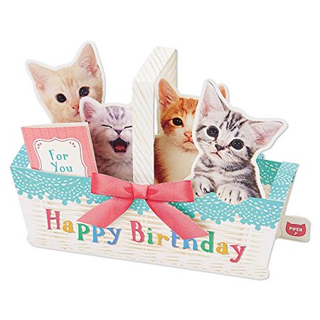 Sanrio Birthday Card Melody 3D Cat Basket P240 | Walmart Canada