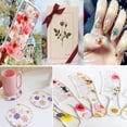 14 Types 37pcs Orange Dried Pressed Flowers for Resin Molds, Real ...