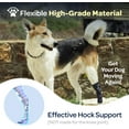 Labra Dog Extra Supportive Canine Rear (Hind) Leg Hock Joint ...