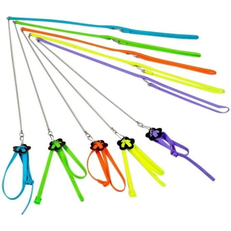 Beauty Parrot Adjustable Bird Harness and Leash Outdoor Flying Anti ...