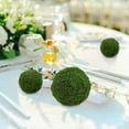 18PCS Decorative Faux Moss Balls for Bowls and Vases, Artificial Dried ...