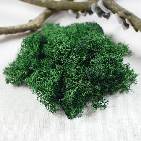 50g Fake Flowers Eternal Moss Artificial Plants Garden Decoration Moss ...