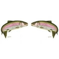 CafePress - Rainbow Trout Mug - 11 oz Ceramic Mug - Novelty Coffee Tea ...
