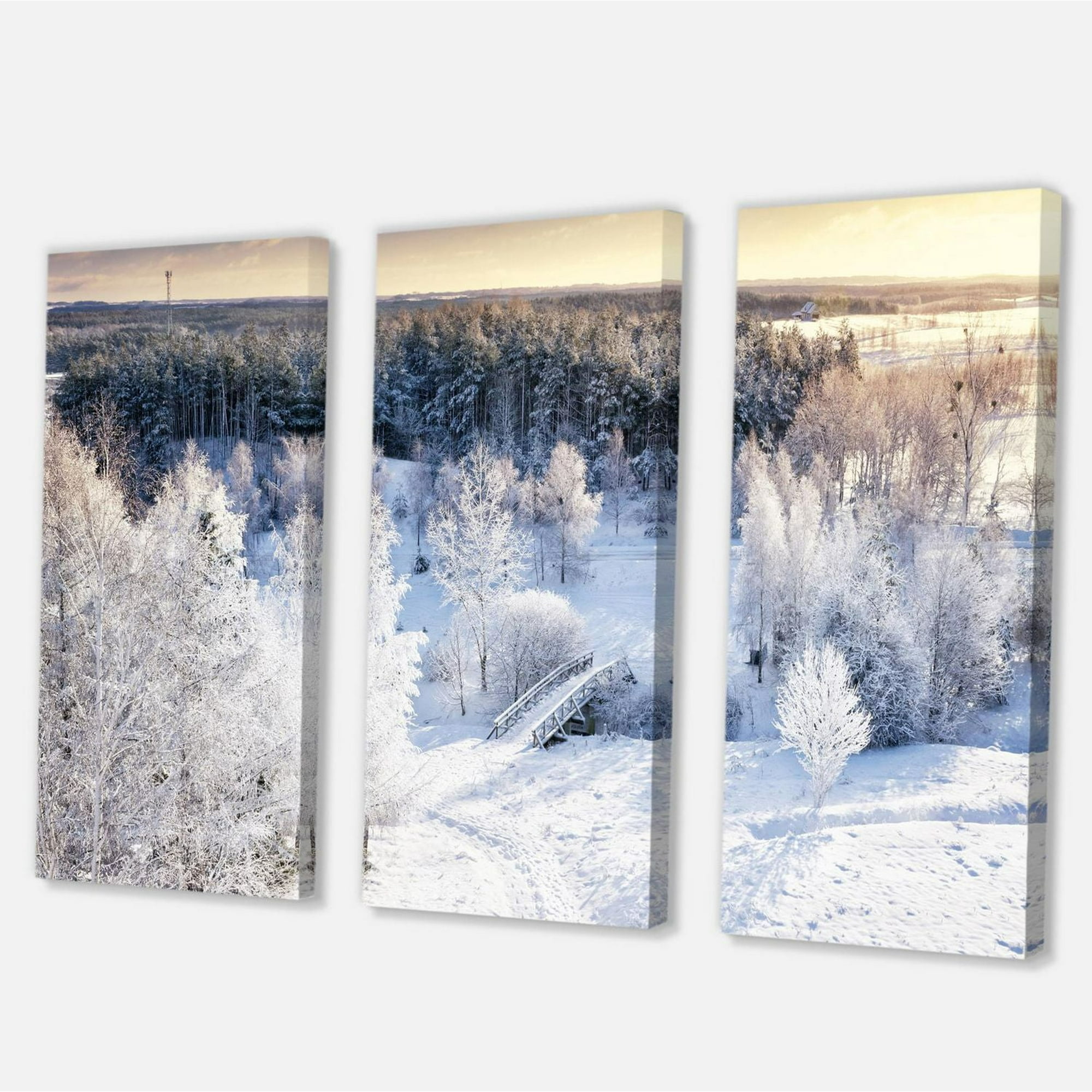 Click here for Designart Beautiful Winter Panorama Canvas Wall Ar... prices