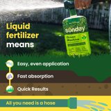 Sunday Green Machine Ready-to-Spray Liquid Lawn Fertilizer (22-0-3), 42 ...