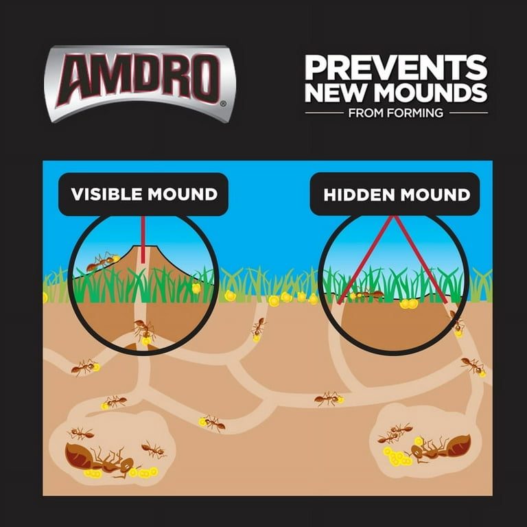 Fire Ant Mound Diagram