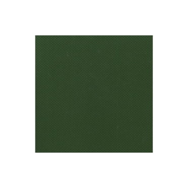 Bazzill Card Shoppe Heavyweight Cardstock 12"X12"-Peppermint - Walmart.com