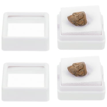 ROCK ON! Geology Game with Rock and Mineral Collection - Walmart.com
