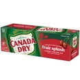 Canada Dry Cherry Ginger Ale, Caffeine Free, Fruit Splash, Soda Pop, 12 ...