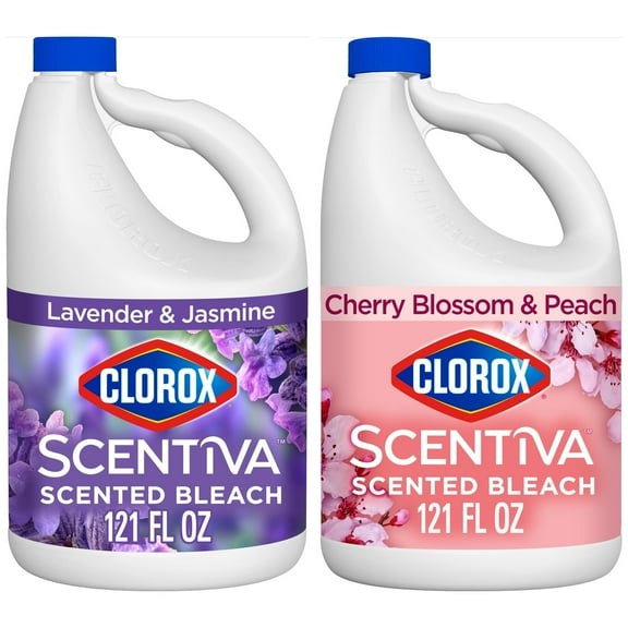 Clorox Disinfecting Bleach with CloroMax, 24 Oz, Kills 99.9% of Germs ...