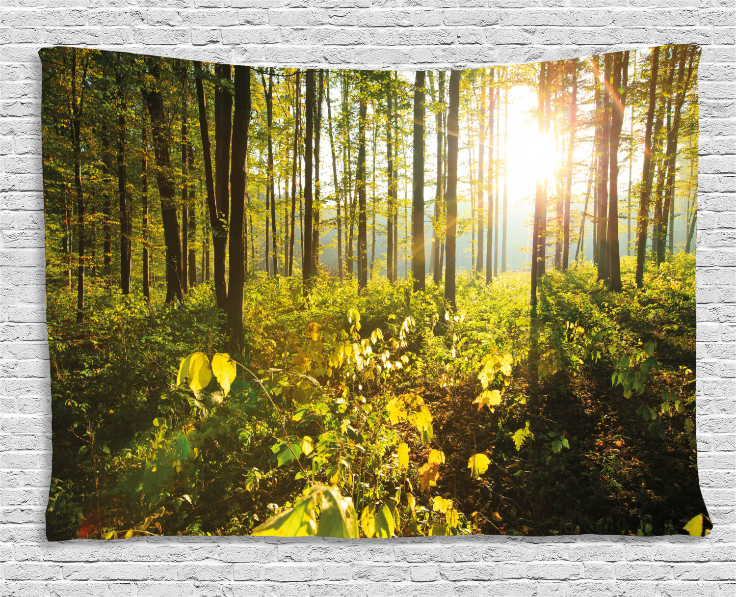 Forest Tapestry, Trees Sun Rays in Woods Foliage Greenery Scenic ...
