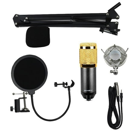 Studio Singing With Condenser Microphone, Recording , Black | Walmart ...