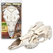 Mountain Mike Skull Mount