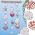 500G 99PCS Natural Seashell 5-6cm Scallop Shells Sea Beach Shells Large ...