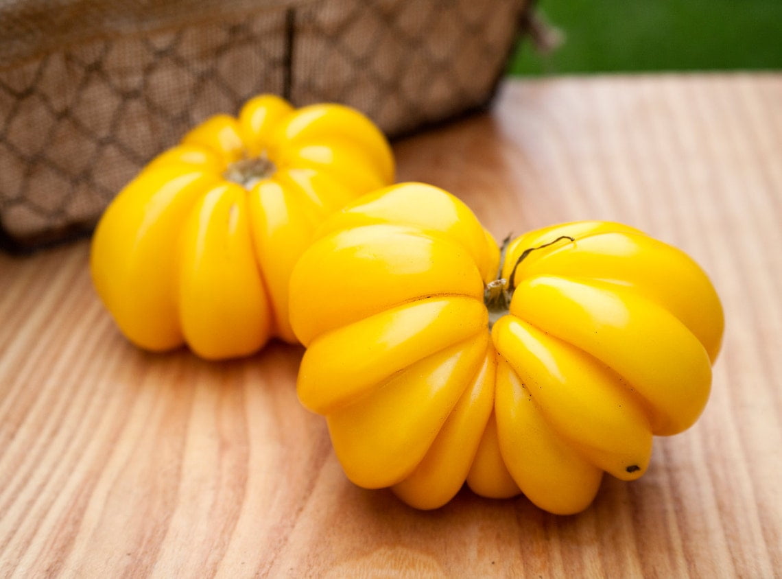 Yellow Ruffles Pleated Stuffing Heirloom Tomato Premium Seeds Packet ...