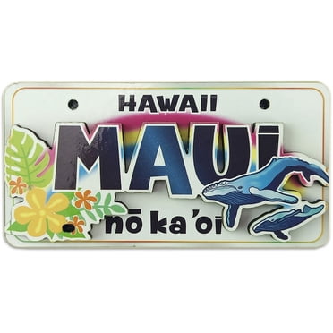 Souvenir Magnet Hawaii Magnet 3 Pack Flower - Walmart.com
