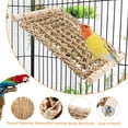 Bird Ladder Perch for Cage, Conure Seagrass Ladder Bridge Exercise ...