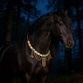 Adjustable Horse Necklace For Training Show With Comfort Fit Design Pet ...