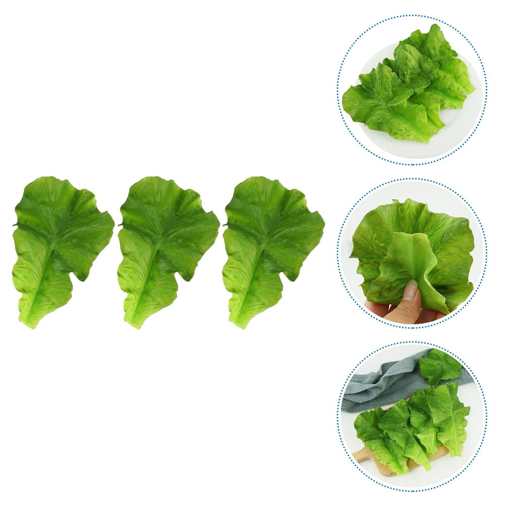 Lettuce Slices