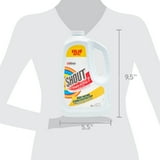 Shout Triple-Acting Refill, Laundry Stain Remover, 60 Ounce - Walmart.com