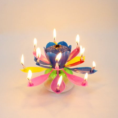 Birthday Cake Flower Candles with Happy Birthday Music Rotating Setup ...