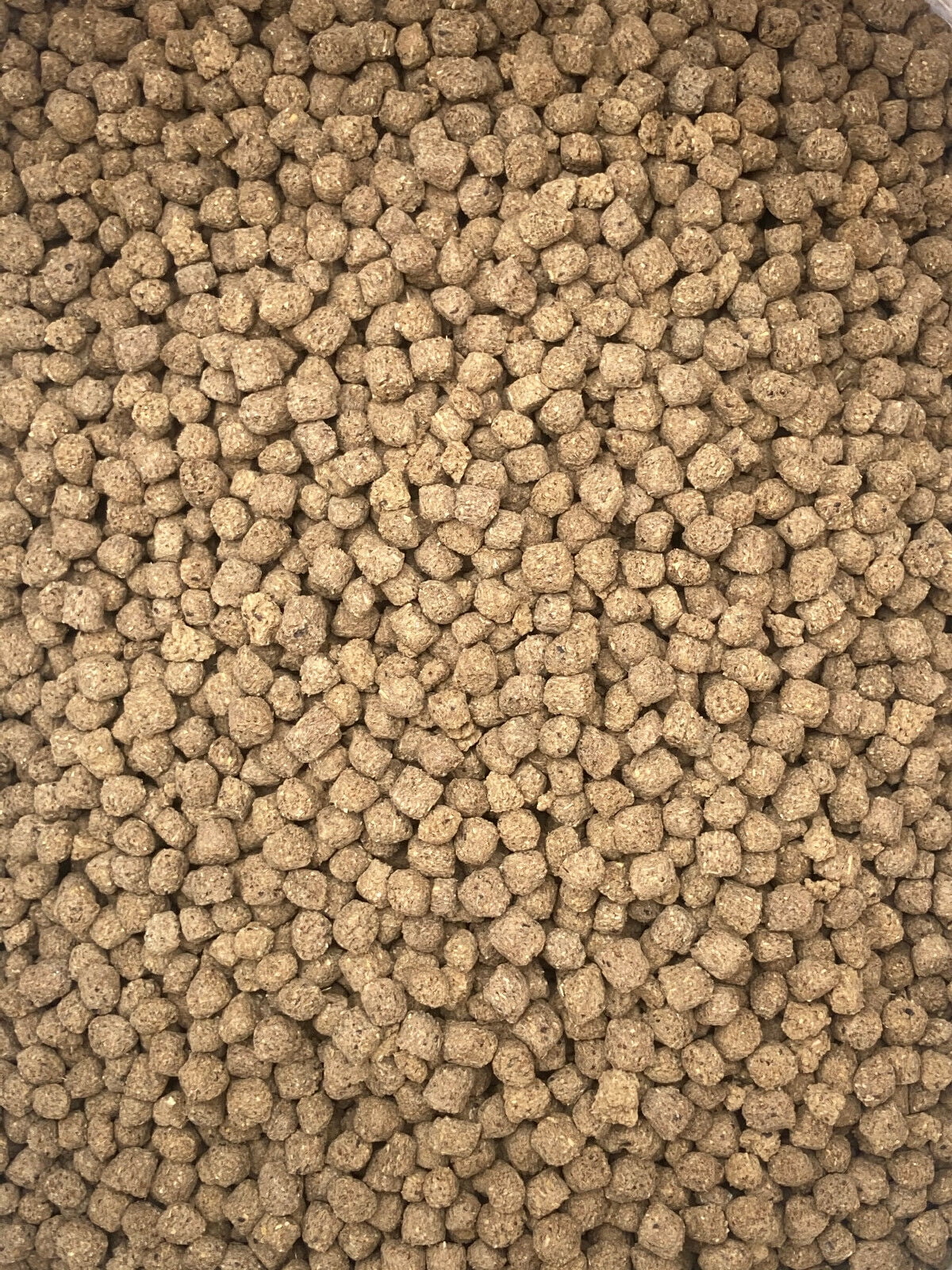 New Floating Fish Food for Pond Catfish and other Pond Species Protien ...