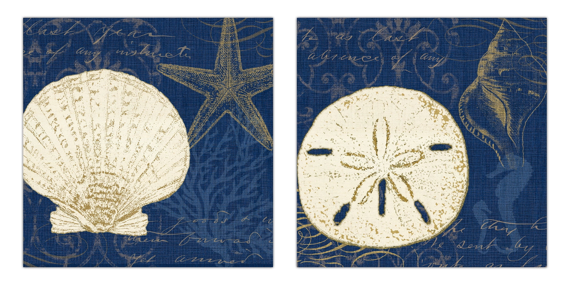 Navy Blue and Tan Sand Dollar and Seashell Adult Coastal Decor; 2 - 12 ...