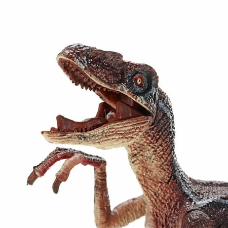 Jurassic Velociraptor Realistic Raptor Dinosaur Toy Movable Jaw Kids ...