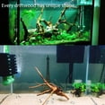 Mini Driftwood for Aquarium Natural Wood Branches Fish Tank Tree Trunk ...
