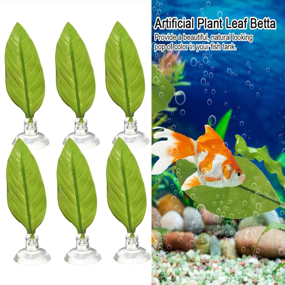 Beautiful Betta Fish Tanks