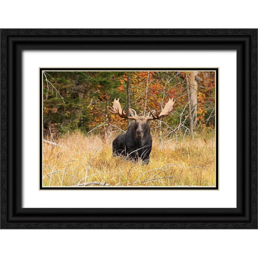 Cumming, Jim 14x11 Black Ornate Wood Framed with Double Matting Museum ...