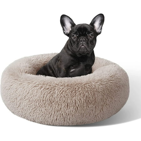 SUPRR FAFA Cat Beds for Indoor Cats - Cat Bed with Machine Washable ...