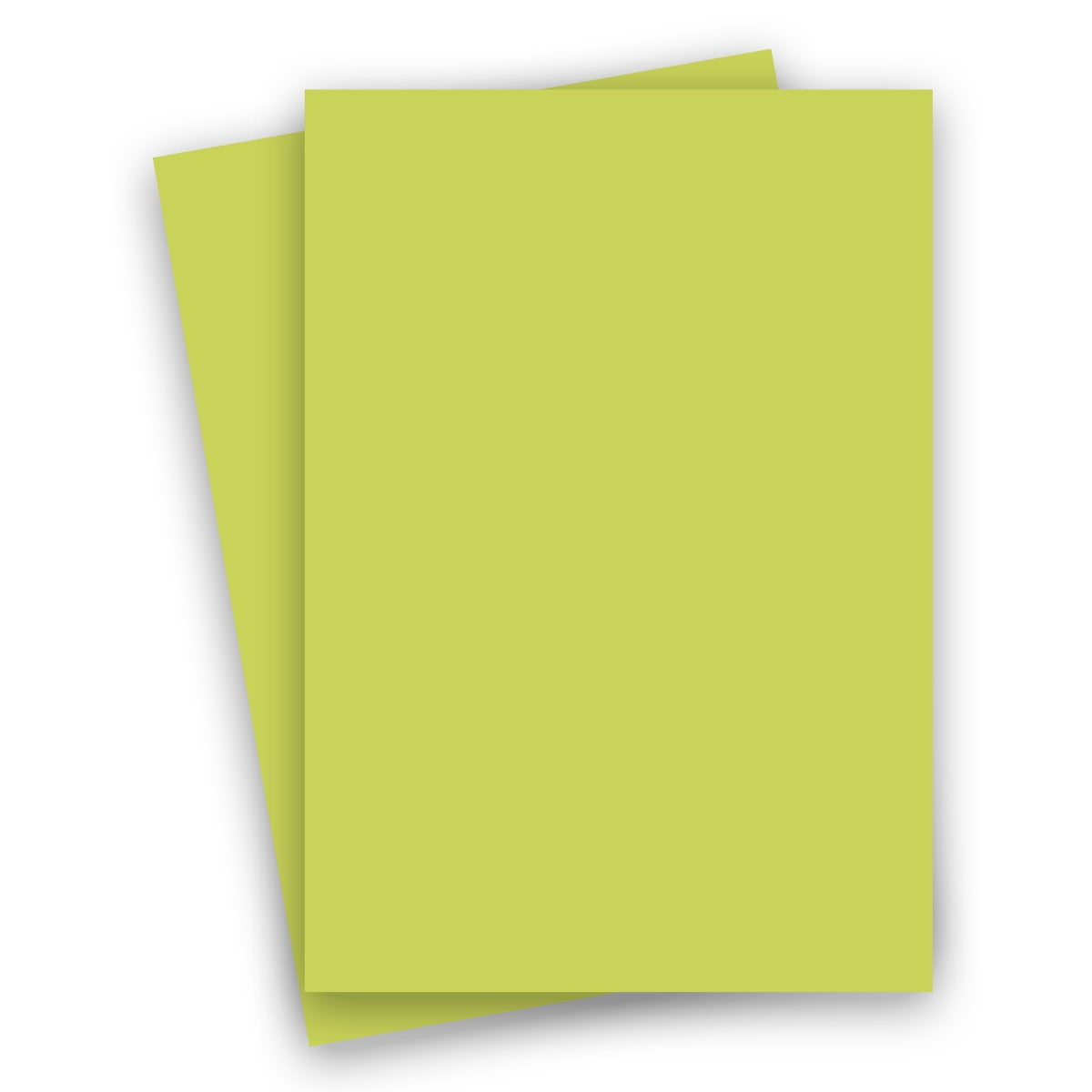 Popular GREEN APPLE 8.5X14 (Legal) Paper 65C Lightweight Cardstock ...