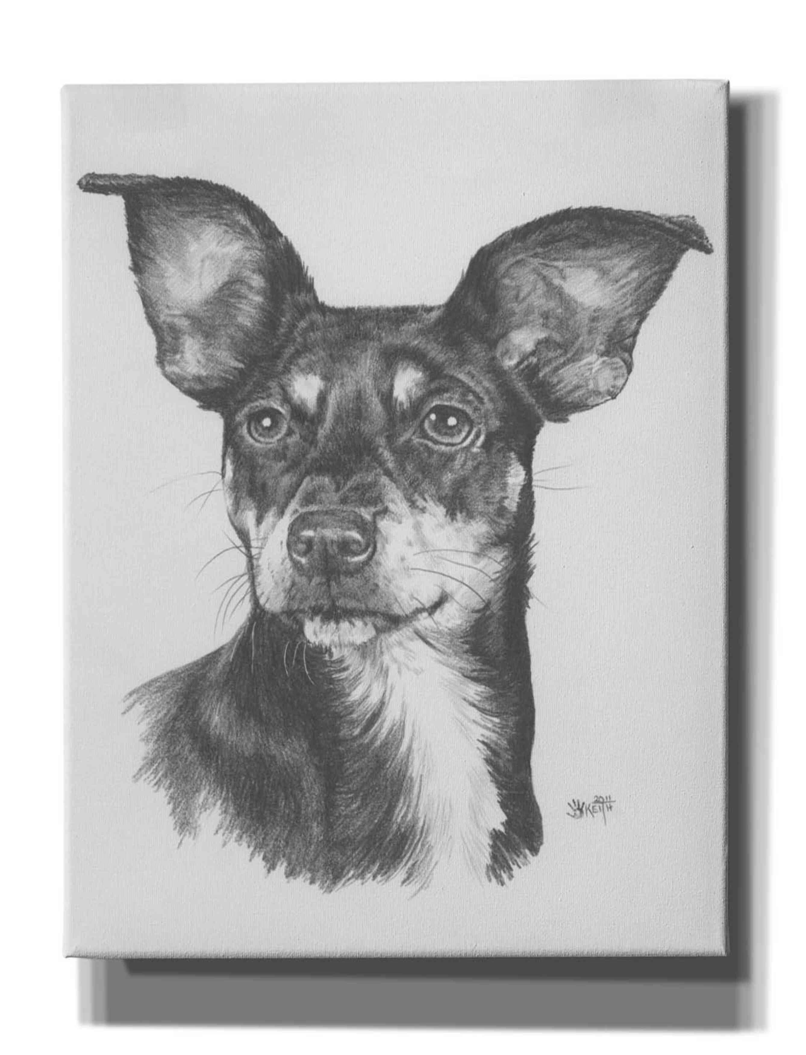 Epic Graffiti 'Chiweenie' by Barbara Keith, Canvas Wall Art, 26"x34 ...