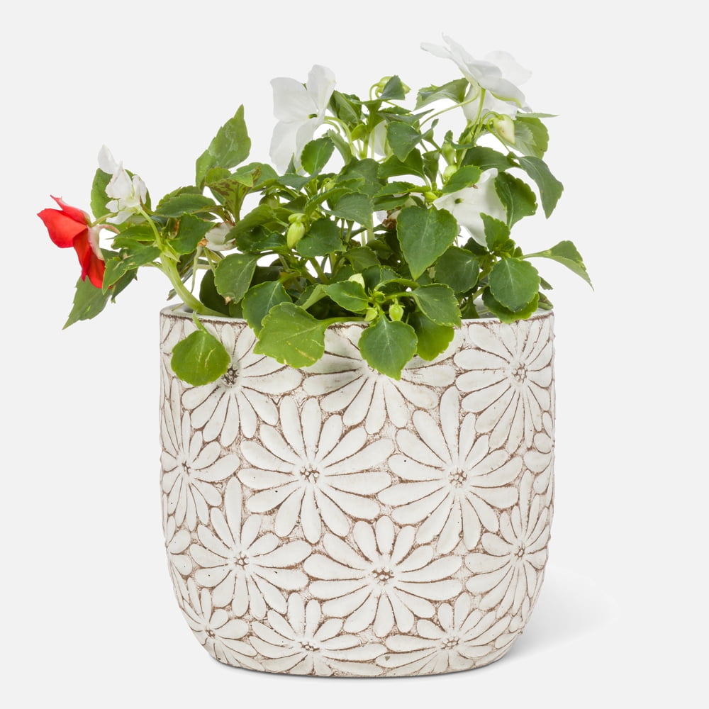 Click here for Linen Chest White Daisy Round Planter - 4.5 4.5 prices