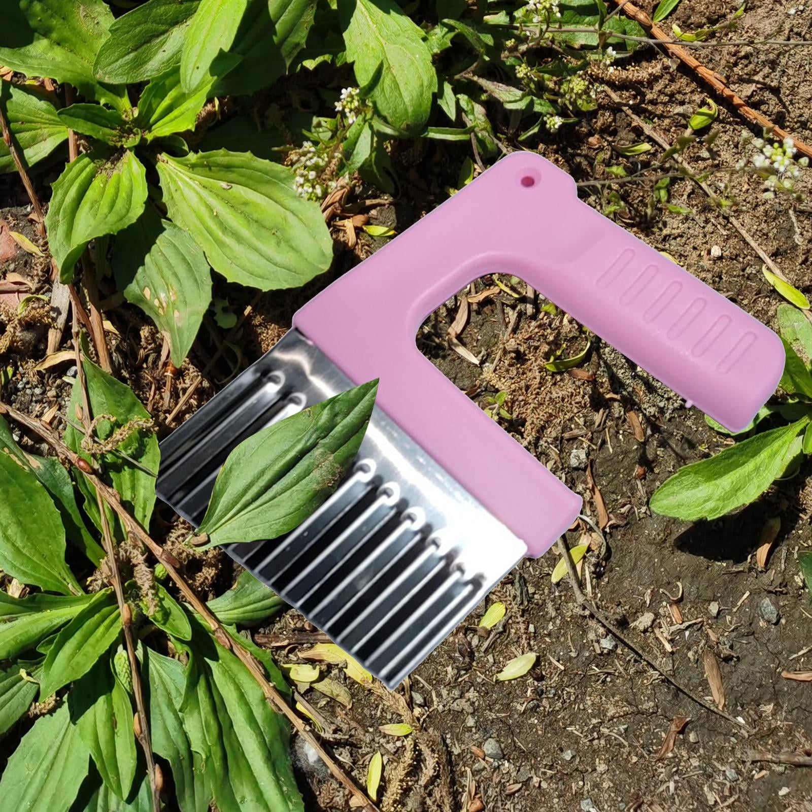 Crevice and Sidewalk Weeder Crevice Weeding Tool Grass Cutter Weeder ...