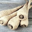 Parsnip, Harris Model, Heirloom, Non GMO, 200 Seeds, Parsnip Seeds for ...