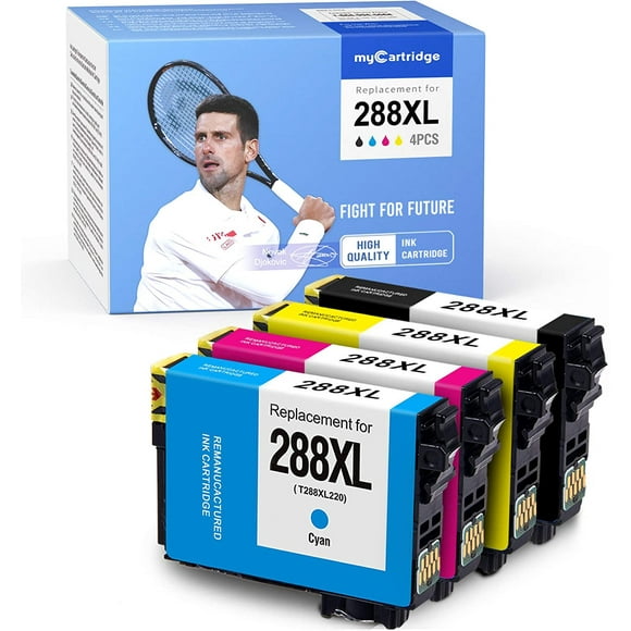 Epson 288 Ink Cartridges