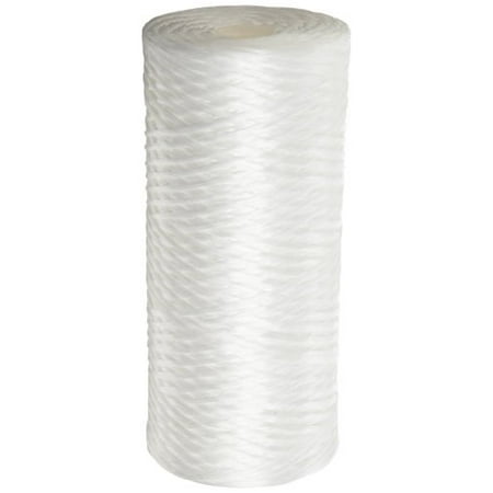 Pentair Pentek WPX25BB97P Big Blue Sediment Water Filter, 10-Inch ...