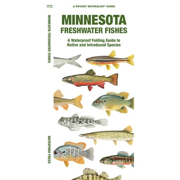 Freshwater Fishing Tips & Techniques : A Fully Illustrated Guide to ...
