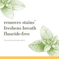 Burt's Bees Toothpaste, Fluoride Free, Zen Peppermint, 4.7 oz, 3pk ...