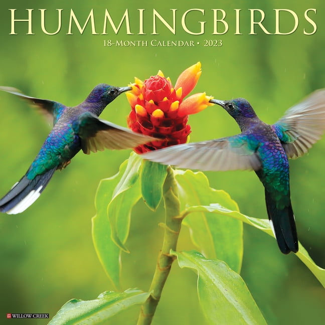 Hummingbirds 2023 Wall Calendar (Other) - Walmart.com