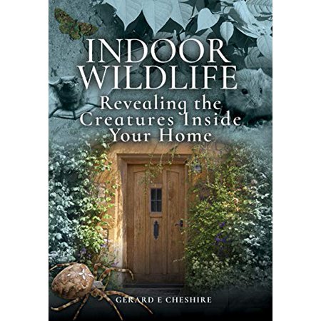 Indoor Wildlife: Revealing the Creatures Inside Your Home | Walmart Canada
