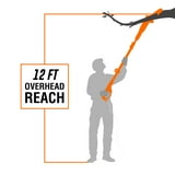 WEN 6-Amp Corded Power Tree Trimming 8-Inch Electric Pole Saw with ...