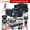 Free Shipping! Canon EOS 5D Mark IV EF 24-105mm Kit - Walmart.com