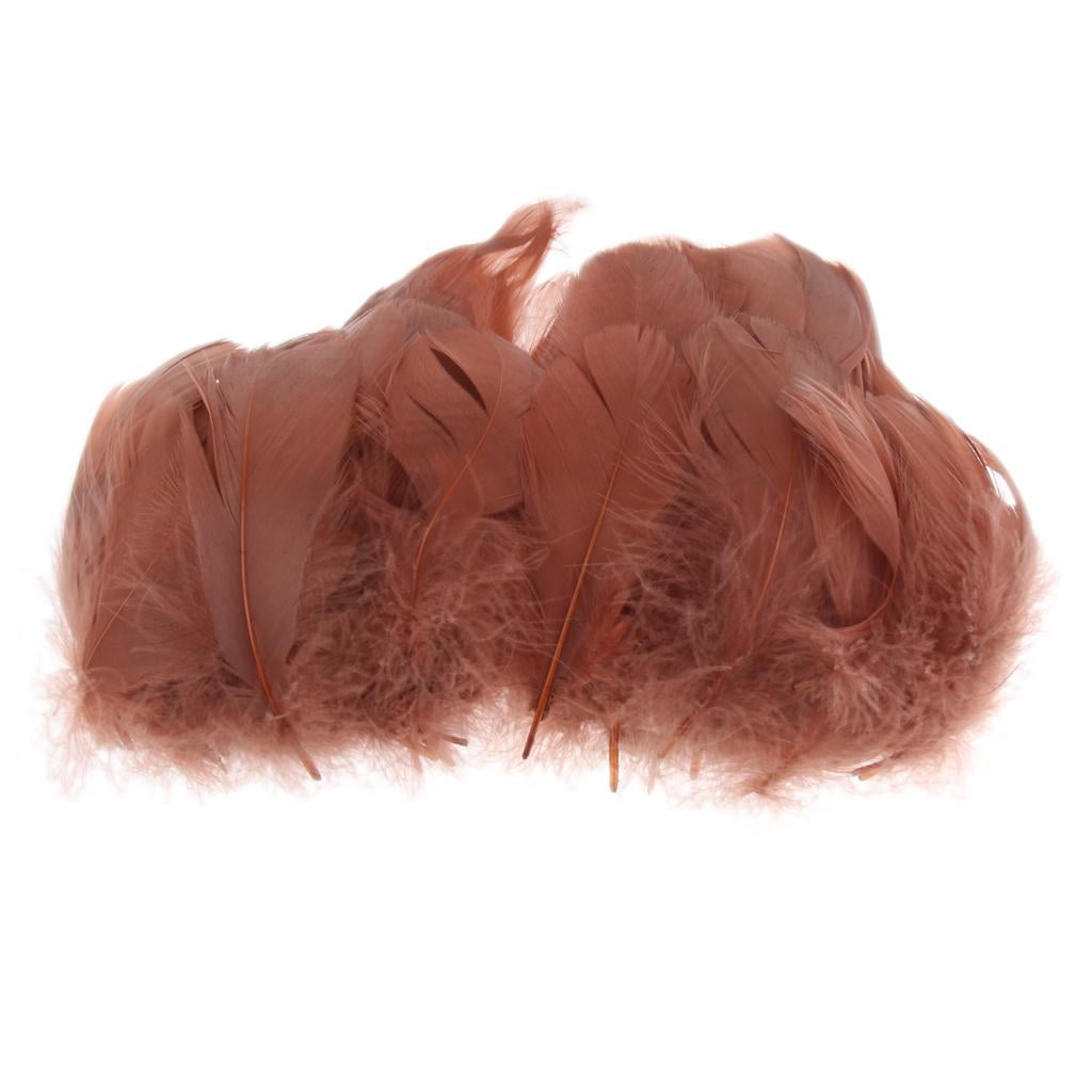 Click here for Tishita 200 Pieces 2.36-3.94 Inch (6-10 Cm) Plume... prices