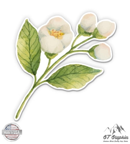 Jasmine - 8" Vinyl Sticker - For Car Laptop I-Pad - Waterproof Decal ...