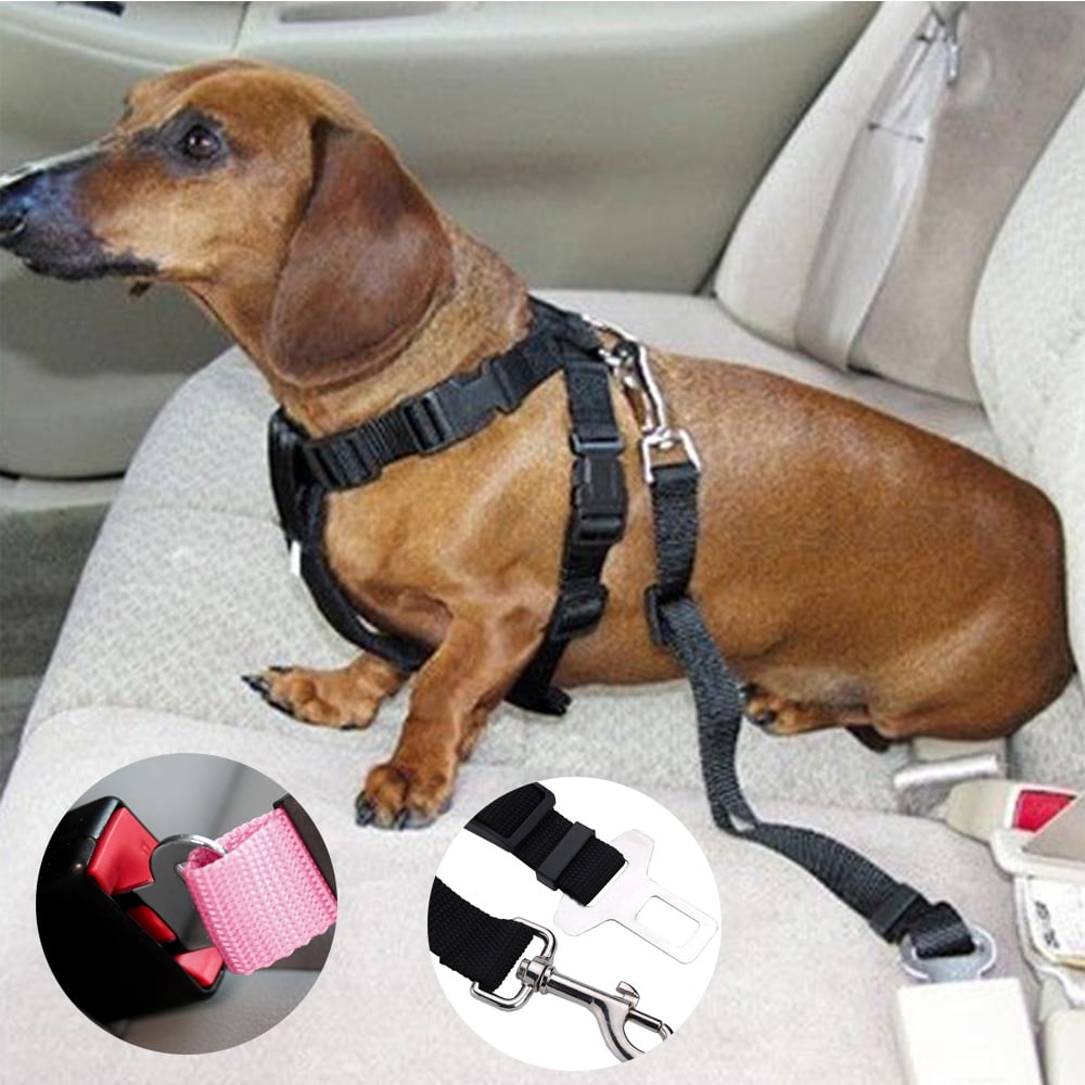 Car Safety Seat Belt Harness Restraint Lead Adjustable Travel Clip ...