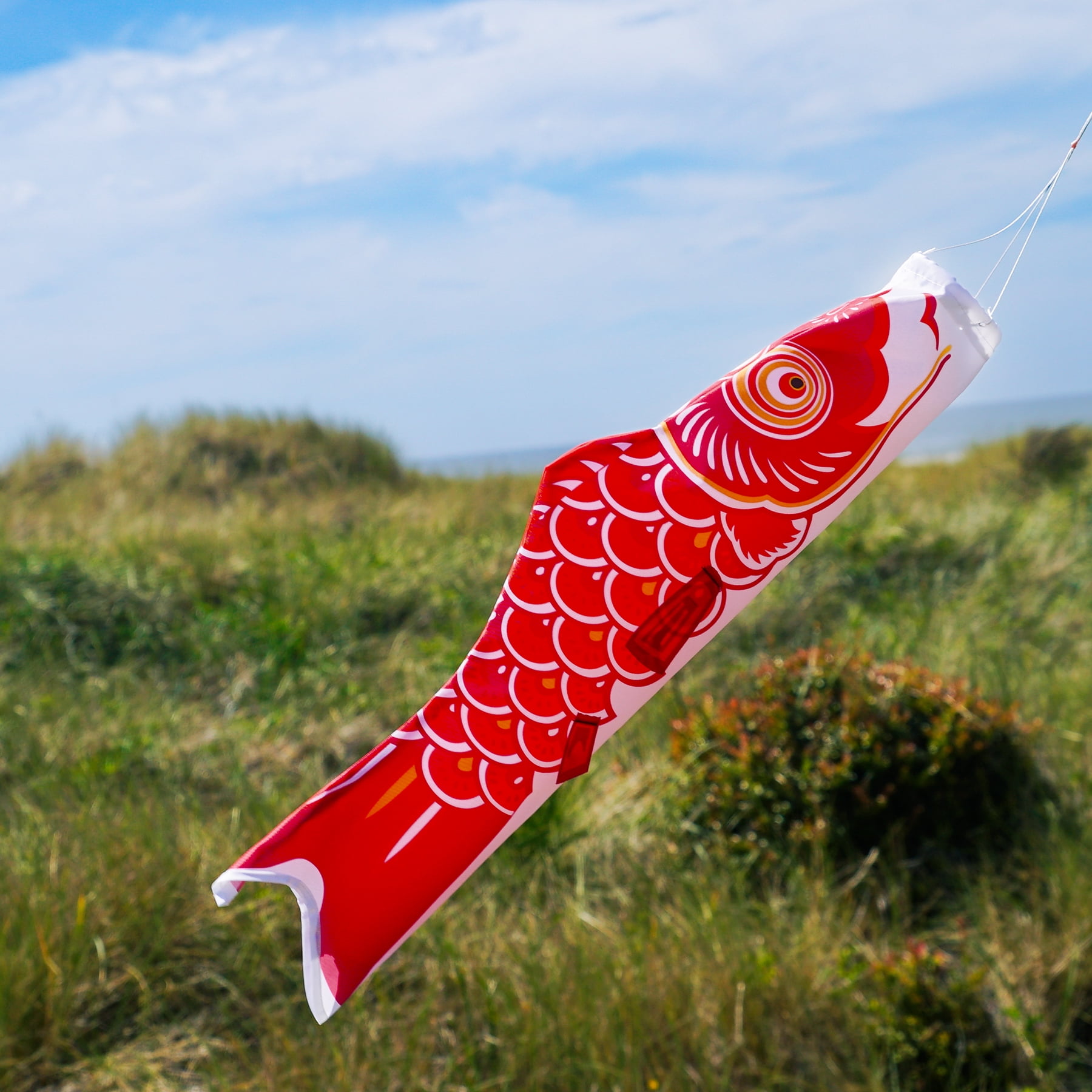 Japanese Koi Fish Kites